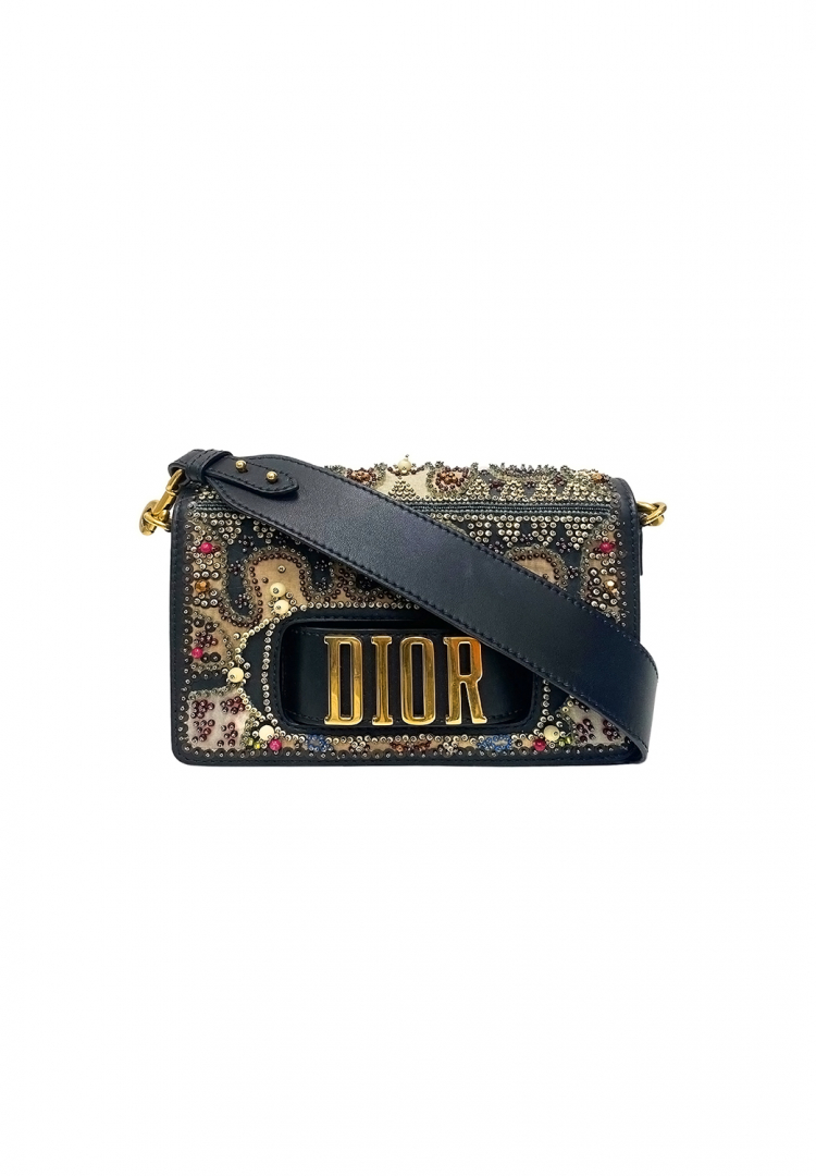 Christian Dior Dio(r)evolution Embellished Flap Bag
